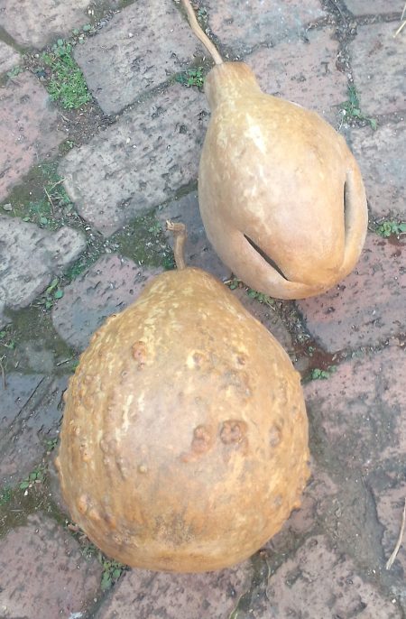Ukhamba – the African Gourd Pumpkin | Storytelling.co.za