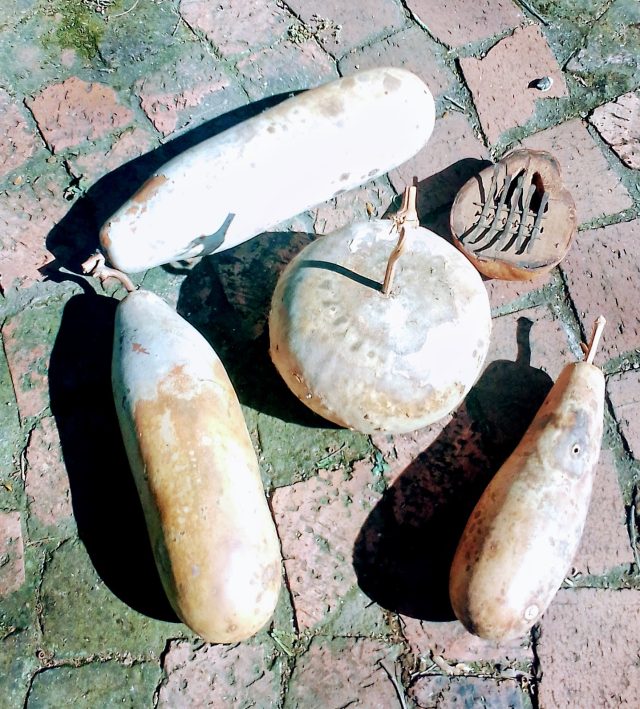 Ukhamba – the African Gourd Pumpkin | Storytelling.co.za